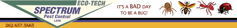 Spectrum Pest Control Serves Milwaukee, Lake Geneva, Bristol, Pleasant ...